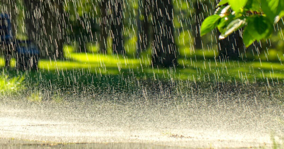 Rainy Day Activities | Queen Elizabeth Olympic Park